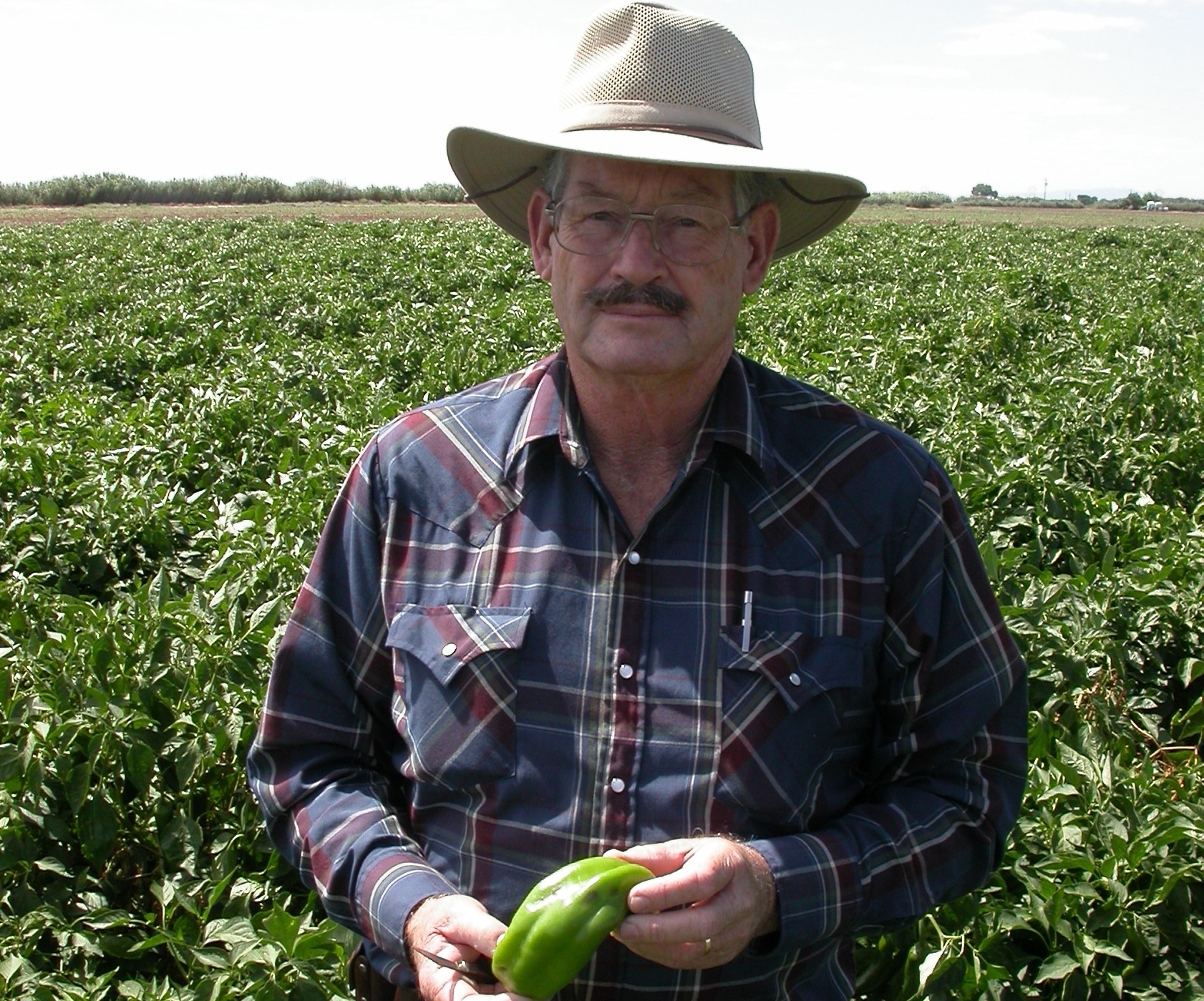 Field Notes: NMSU Alumni Share | The NMSU Family Engagement Home